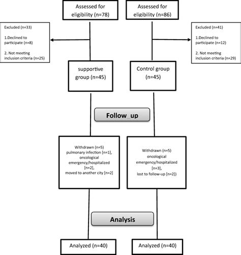 Flow Chart Of Participant Enrollment Allocation And Data Analysis