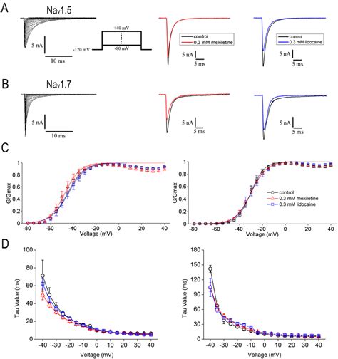 Effects Of Mexiletine And Lidocaine On Voltage Dependent Activation Of Download Scientific