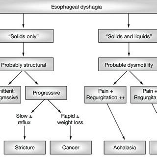 PDF Diagnostic Evaluation Of Dysphagia