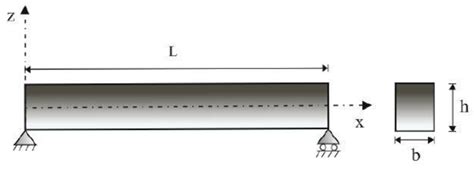 geometry and coordinates of functionally graded timoshenko nanobeam
