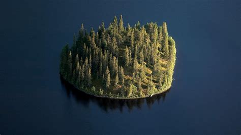 【量化专辑】基于混沌理论的趋势交易策略 知乎