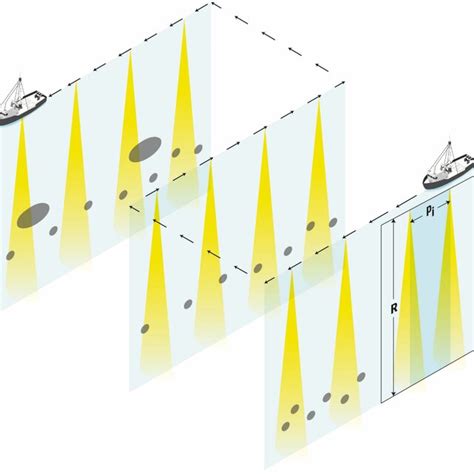 Schematic Of The Sampling Along Three Transects Of An Acoustic Survey