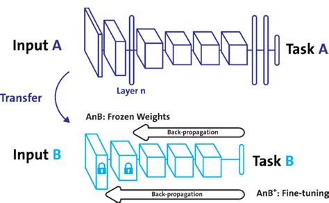 Deep View On Transfer Learning With Iamge Classification Pytorch
