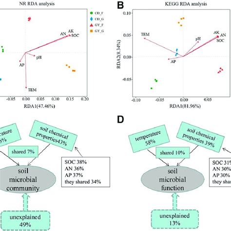 Single Molecule Real Time Sequencing Smrt Pac Bio Single Molecules