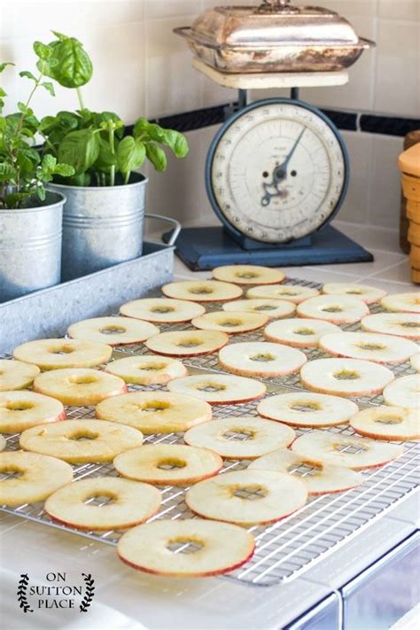 Delicious And Healthy Oven Baked Fuji Apple Chips