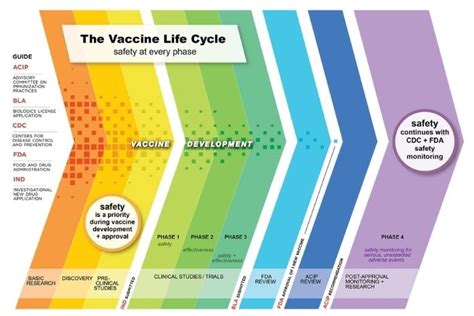 Evaluating Vaccine Safety Nfid
