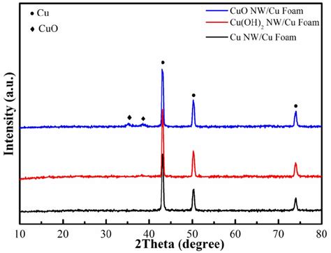 Fig S1 Xrd Patterns Of As Synthesized Cu Oh 2 Nw Cu Foam Cuo Nw Cu
