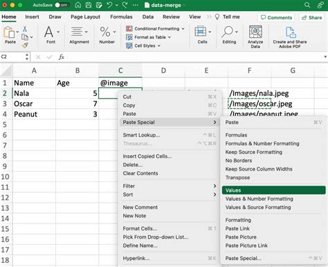How To Use Indesign Data Merge For Text And Image Automation Be The Bean