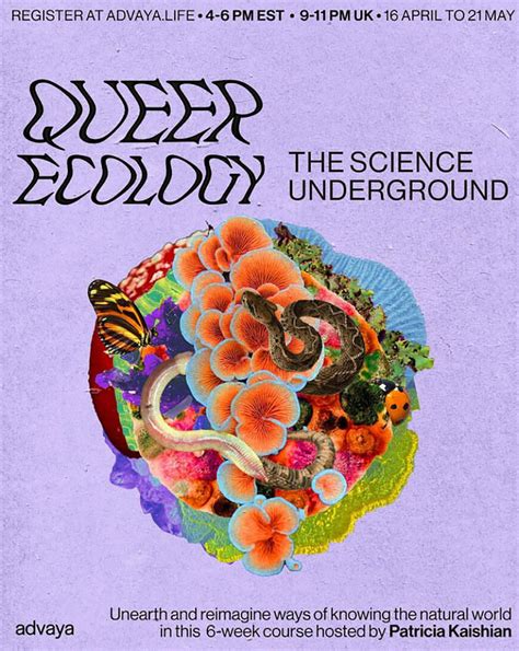 Queer Ecology The Science Underground Mold Designing The Future