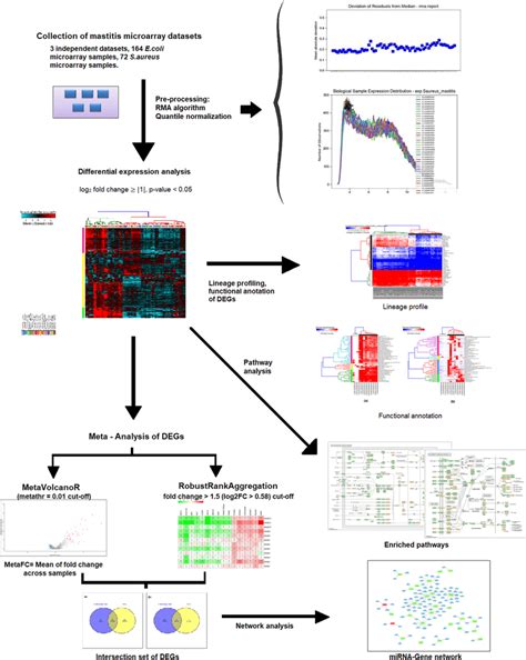 Overview Of The Methodology Used In This Study Download Scientific