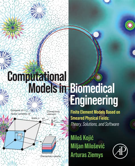Computational Models In Biomedical Engineering Finite Element Models Based On Smeared Physical