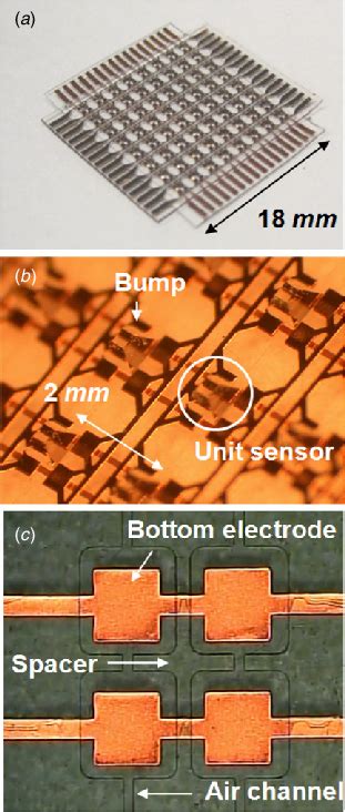 A Photograph Of The Completed Three Axis Tactile Sensor An 8 × 8 Download Scientific Diagram