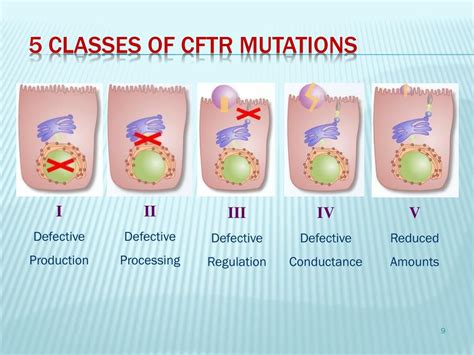Ppt Cftr Powerpoint Presentation Free Download Id 5312193
