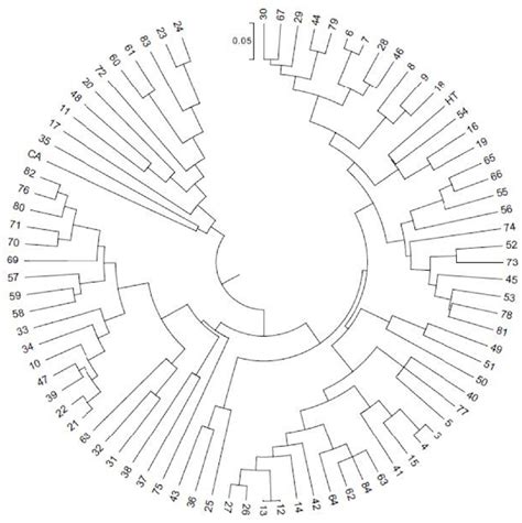 Dendrogram Produced Using The Unweighted Pair Group Method With Download Scientific Diagram