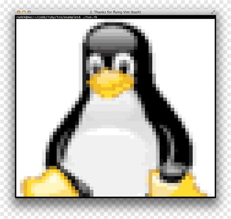 Linux Kernel Tux Unix Linux Distribution Linux Vertebrate Bird Png Pngegg