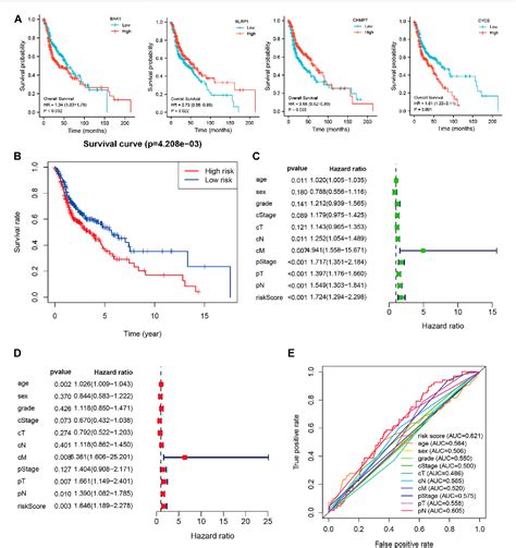 Figure 3 From Development Of A Prognostic Prediction Model Based On A Combined Multi Omics