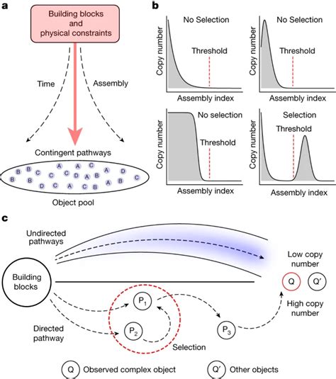 Novel Assembly Theory Connects Physics Chemistry Biology And Evolution The Brighter Side