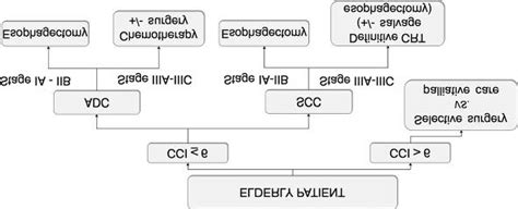 Proposed Treatment Algorithm For Elderly Patients Cci Age Adjusted