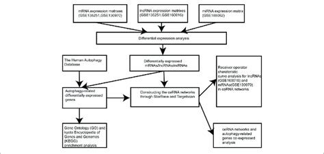 flowchart of the research design lncrna long noncoding rna mirna