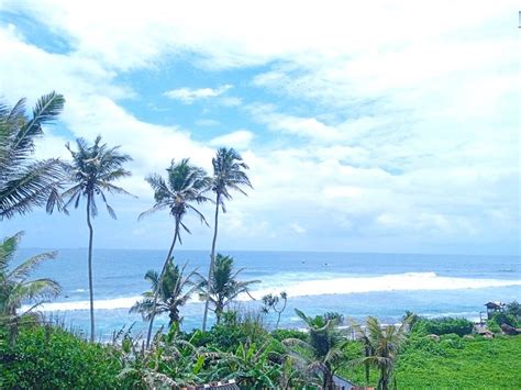 Pearldrop Waves Mirissa Sri Lanka 53 Fotos Comparação De Preços E