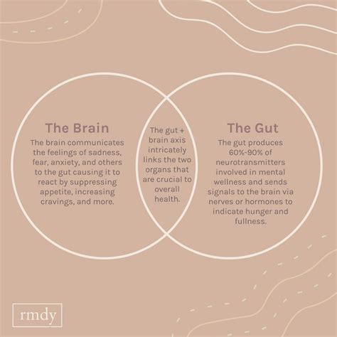 The Gut Brain Axis Artofit