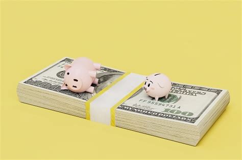 가족 예산의 개념 남자와 여자의 형태로 돼지 저금통을 달러로 묶습니다 3d 렌더링 0명에 대한 스톡 사진 및 기타 이미지 0명 경제 귀여운 Istock