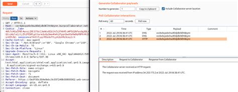 Portswigger Host Header Attacks Görkem Özkanat