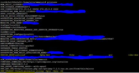 how to export environment variables in azure web app for containers