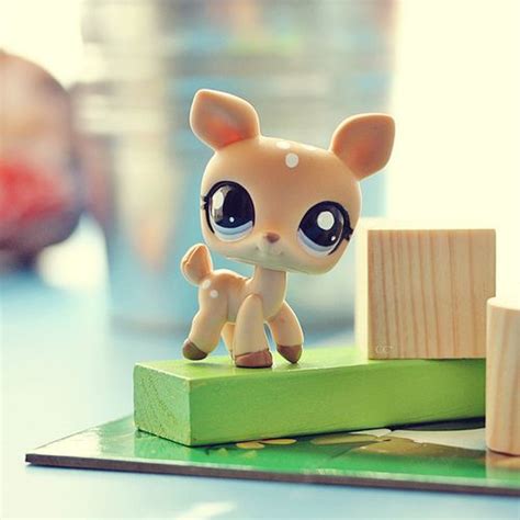 25 Best Lps Deer Images On Pinterest Deer Red Deer And Reindeer