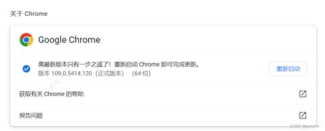 Chrome浏览器webdriver相关下载与使用方法谷歌webdriver下载 Csdn博客