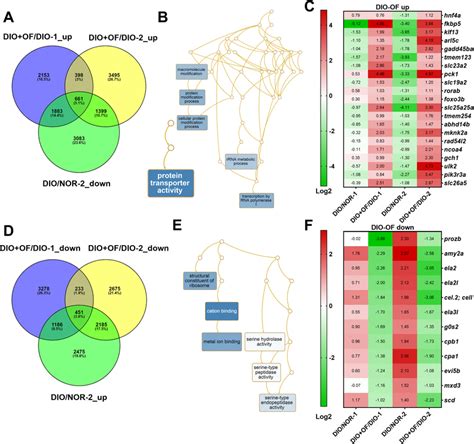 Pathways Analysis For The Differential Expressed Genes In HBx Src