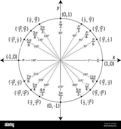 The Circle Is Marked And Labelled In Both Radians And Degrees At All
