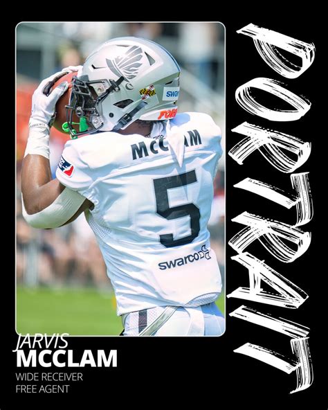 Portrait Jarvis Mcclam Punt Blog De