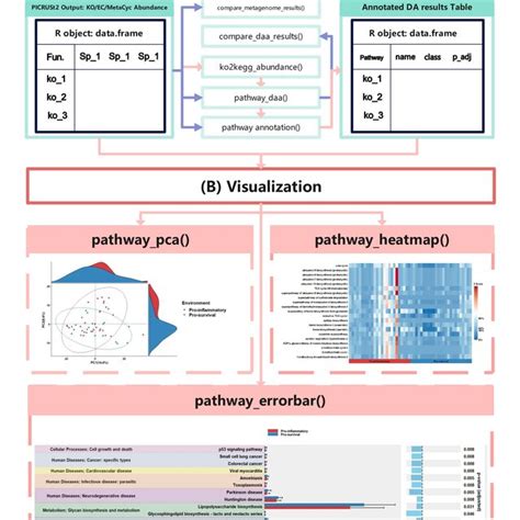 Workflow And Visualization Example For The Ggpicrust2 R Package The