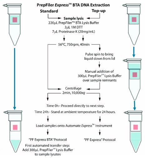 Overview Of Standard And Top Up Prepfiler Express™ Bta Dna Extraction Download Scientific