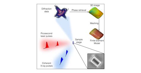 Ultrafast Three Dimensional X Ray Imaging Of Deformation Modes In ZnO Nanocrystals Nano Letters