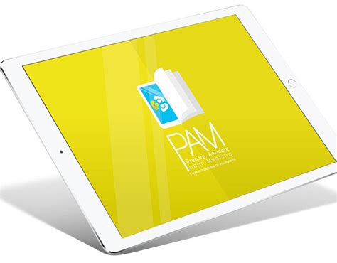 Application Pam On Behance