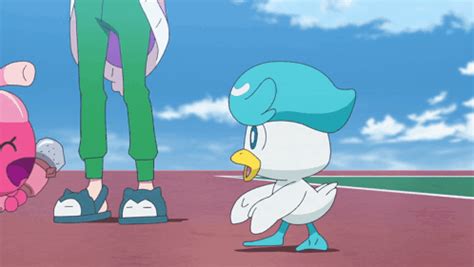 Pokemon Pokeani  Pokemon Pokeani Anipoke Discover And Share S