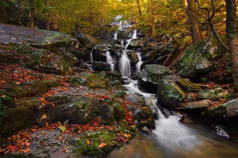 Fall Foliage Shenandoah National Park
