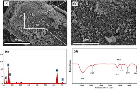 SEMEDS Images A B The SEM Image Labeled Region From A C The EDS Download Scientific