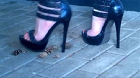 Pine Cone Crush Full Hd 1080p Dianas Fetish Lounge Clips4sale