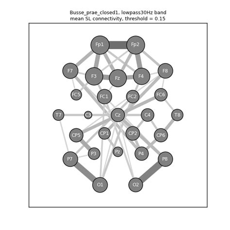 Shows Such A Brain Graph Here The Averaged Functional EEG Download Scientific Diagram