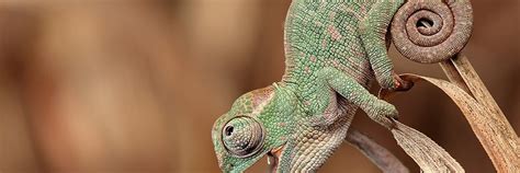 Jess Mcdaniel Jess Ikuh Twitter