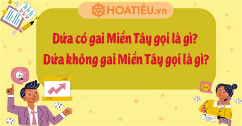 Dứa Có Gai Miền Tây Gọi Là Gì Dứa Không Gai Miền Tây Gọi Là Gì
