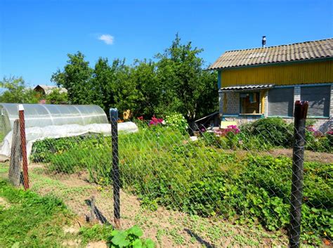 Как согласовать границы земельного участка с соседями при межевании Юридические тонкости Дзен