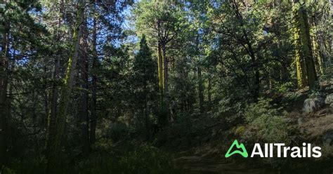 Wooded Hill Group Campground Hikes And Trails To Get You There