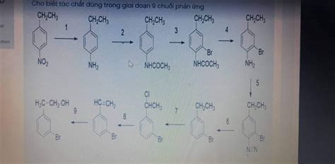 Solved Stion Cho Bi T T C Ch T D Ng Trong Giai O N Chu I Chegg Com
