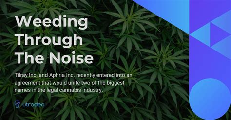 Rajnish Katharotiya Posted On Linkedin