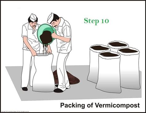 Vermicomposting Step By Step Procedure Farmer Junction