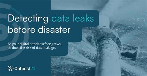 Detecting Data Leaks Before Disaster